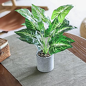WUKOKU 16" Small Fake Plants Artificial Potted Faux Plants Desk Plant for Home Office Farmhouse Kitchen Shelf Indoor Decor