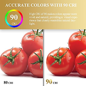 DiCUNO A19 LED Light Bulbs 60W Equivalent, Daylight White 5000K, High CRI 90, E26 Medium Base 9W 800 Lumens 120V, Non-dimmable, Frosted, 6 Pack