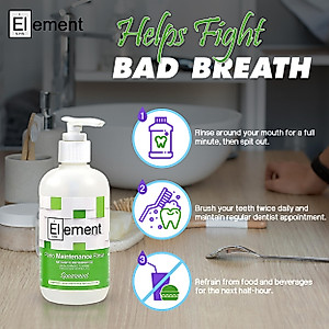 Stannous Fluoride Mouthwash - 10 Fl. Oz. 0.63% Antimicrobial Perio Rinse - Alcohol Free, Dye Free, Paraben Free - Refreshing Spearmint Flavor