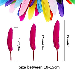 Coceca 240pcs Colorful Goose Feathers 4-6 Inches Natural Feathers for DIY Crafts
