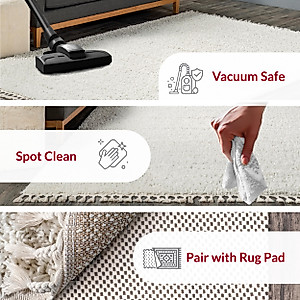 nuLOOM Neva Modern Tasseled Shag Area Rug, 3x5, Ivory