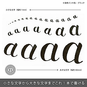 Pentel AMZ-SESF30C-12 Blush Sign Pen Artist Brush Pen, Set of 12 Colors