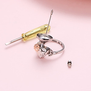 S925 Sterling Silver Urn Ring for Ashes Love Heart Keepsake Memorial Cremation Jewelry for Women Size 9