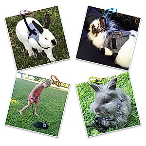 Cute Rabbit Harness and Leash for Walking，No Pull Adjustable Formal Suit Style Plaid Stripe Harness for Rabbit Kitten Chinchilla, Squirrel, Marten & Mink Small Animal（2 Pcs） (M)