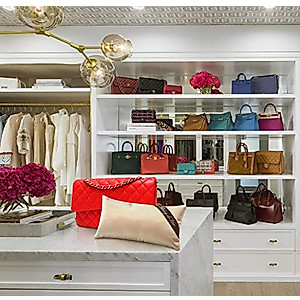 Bag-a-Vie Handbag Shaper Pillow – Luxury Handbag Shaper & Purse Shapers - [Mini] 9” x 4.5” - Fits Flap Bags and Shoulder Bags - Champagne