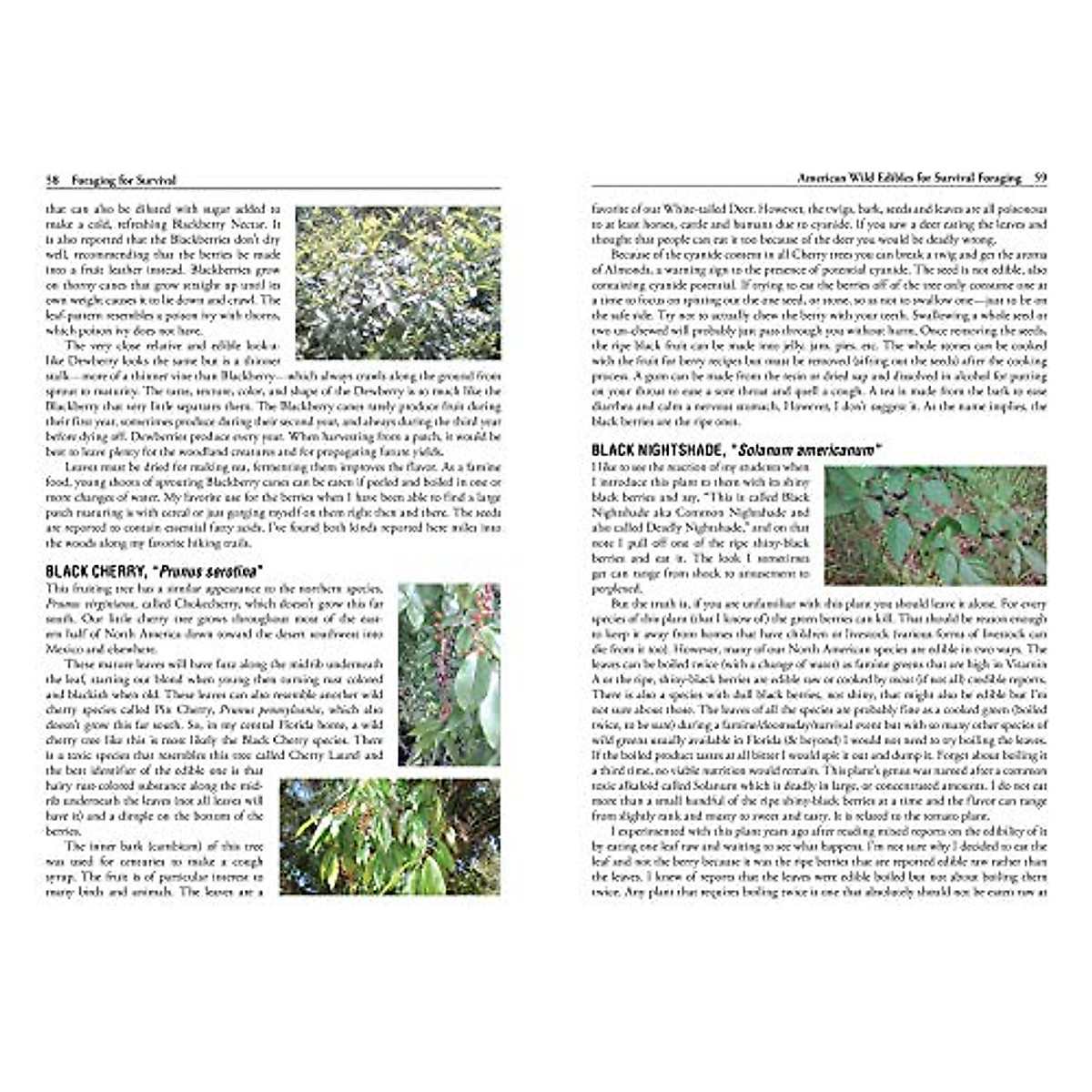 Foraging for Survival: Edible Wild Plants of North America