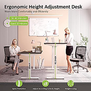 ALFA FURNISHING Quick Install Standing Desk, 48 X 30 Inches Dual Motor Electric Stand Up Desk, Adjustable Height Sit Stand Desk with Whole-Piece Desktop, 4 Pre-Set Memory(Walnut Top+White Frame)