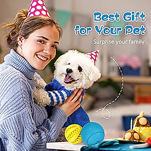 HIPPIH Dog Puzzle Toys 2 Pack, Interactive Dog Toys for Large Dogs & Small Dogs, Puppy Toys for Treat Dispensing, Durable Dog Balls for Teeth Cleaning/IQ Training, Dog Enrichment Toys for Chewing