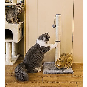 Qucey 32 Inches Cat Scratching Post, Cat Scratch Post Claw Scratcher with Sisal Rope, Scratching Post for Indoor Cats with Hanging Ball