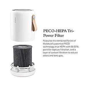Molekule PECO-HEPA Tri-Power Filter Air Mini and Mini+ | Air Purifier Replacement Filters with PECO and HEPA Technology, Eliminates Smoke, Mold, Bacteria & Other Pollutants for Clean Air - Gray