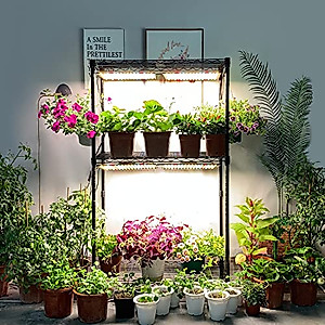 BAVIHOR Grow Light, (2-Pack) 200W LED Grow Lights for Indoor Plants Full Spectrum Plant Growing Lamps for Seedling Veg and Bloom