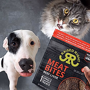 Raised Right Beef Meat Bites, Single Ingredient Liver Treats for Dogs & Cats - 5 oz. Bag