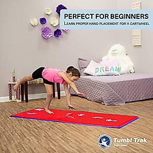 Tumbl Trak Cartwheel Beam Mat, Red and Royal Blue, 2ft x 6ft