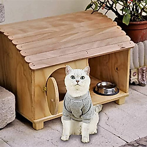 Personalized Dog Cat Shirts w Your Design Custom Puppy Kitten Hoodie Cute Pet Clothes for Small to Medium Dogs & Cats (Gray 1)