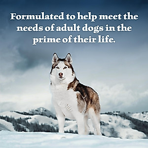 Blue Buffalo Wilderness Adult Wet Dog Food, High-Protein & Grain-Free, Made with Natural Ingredients, Duck & Chicken Grill, 12.5-oz. Cans, 12 Count