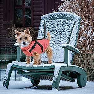 JUDYBRIDAL Dog Winter Jacket Pet Turtleneck Sweater for Cold Weather with Reflective Webbing, Warm Puppy Jacket Small Dog Winter Coats with Harness for Chihuahua Yorkie Dachshund Bulldog (M | Rose)