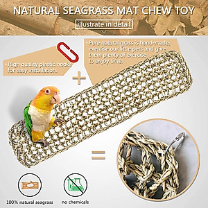 Bird Seagrass Mat 29.5"×7" Parrot Natural Grass Woven Net Hammock Hanging on Cage with Hooks Parakeet Climbing Rope Ladder Chew Toys for Pigeon Cockatiel Conure Budgie Cockatoo Rat