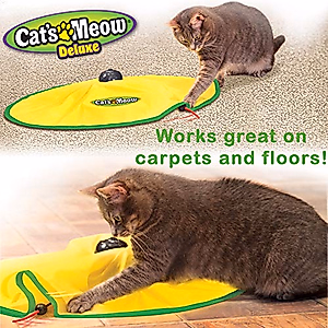 Cat's Meow- Motorized Wand Cat Toy, Automatic 30 Minute Shut Off, 3 Speed Settings, The Toy Your Cat Can't Resist