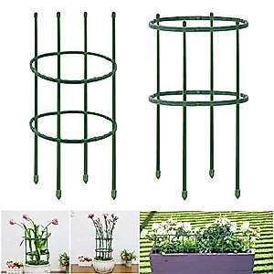 Plant Support Cages 15.7 Inches Garden Plant Support Ring Plant Stake Plant Support Tomato Cage, Perfect for Small Plants, Vegetables, Flowers, Plant Trellis for Potted Plants 2 Pack
