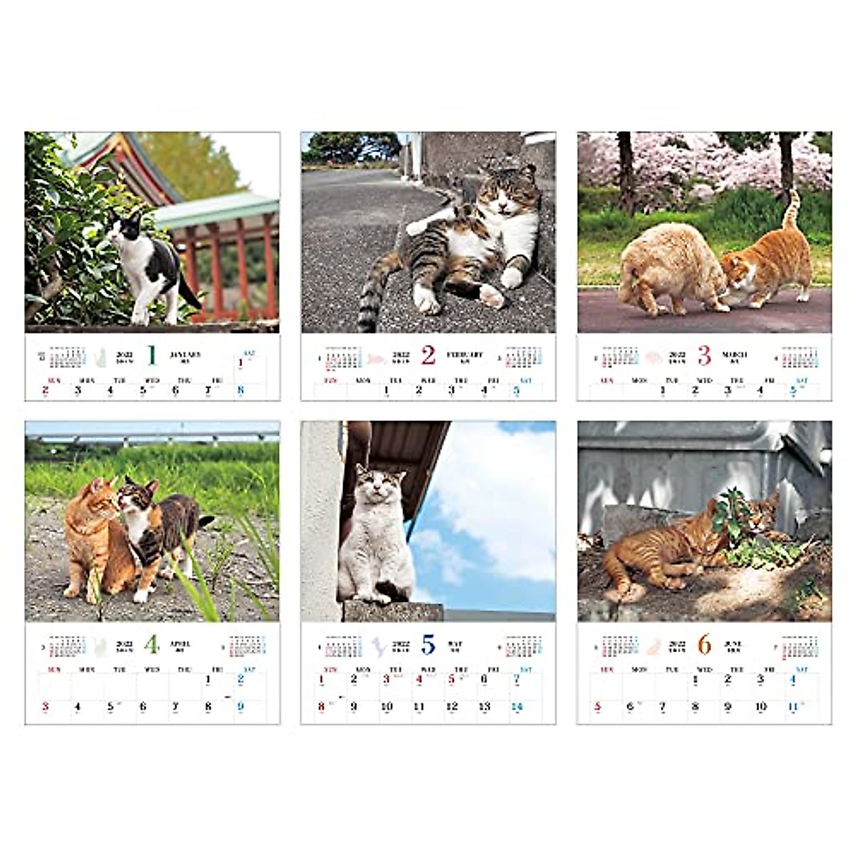 そとねこ (インプレスカレンダー2022)