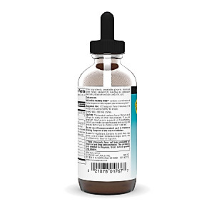 Source Naturals Wellness Herbal Kids Liquid Formula - for Immune System Support - 4 Fluid oz