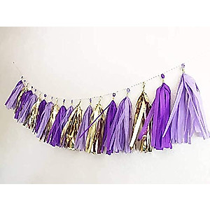 Purple Gold Baby Shower Decorations Qian's Party Purple and Gold Princess Birthday Party Decorations Purple Princess Baby Shower Confetti Purple & Gold Party Decor