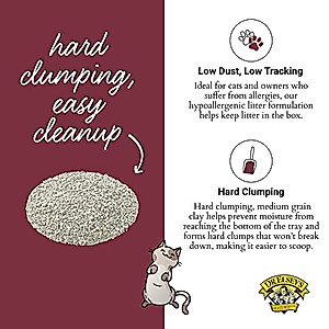 Precious Cat Classic Premium Clumping Cat Litter, 40 lb Bag