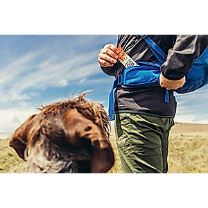 Gregory Mountain Products Men's Citro 30 Hiking Backpack, Vivid Red