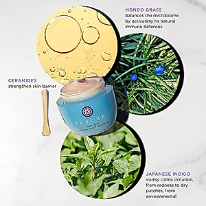 TATCHA Firming Nourishment AM + PM Duo: The Silk Cream + Indigo Overnight Repair