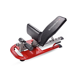 Stamina X 4-in-1 Fitness Bench - Adjustable Weight and Foldable Exercise Bench Roman Chair with Smart Workout App - Up to 250 lbs Weight Capacity