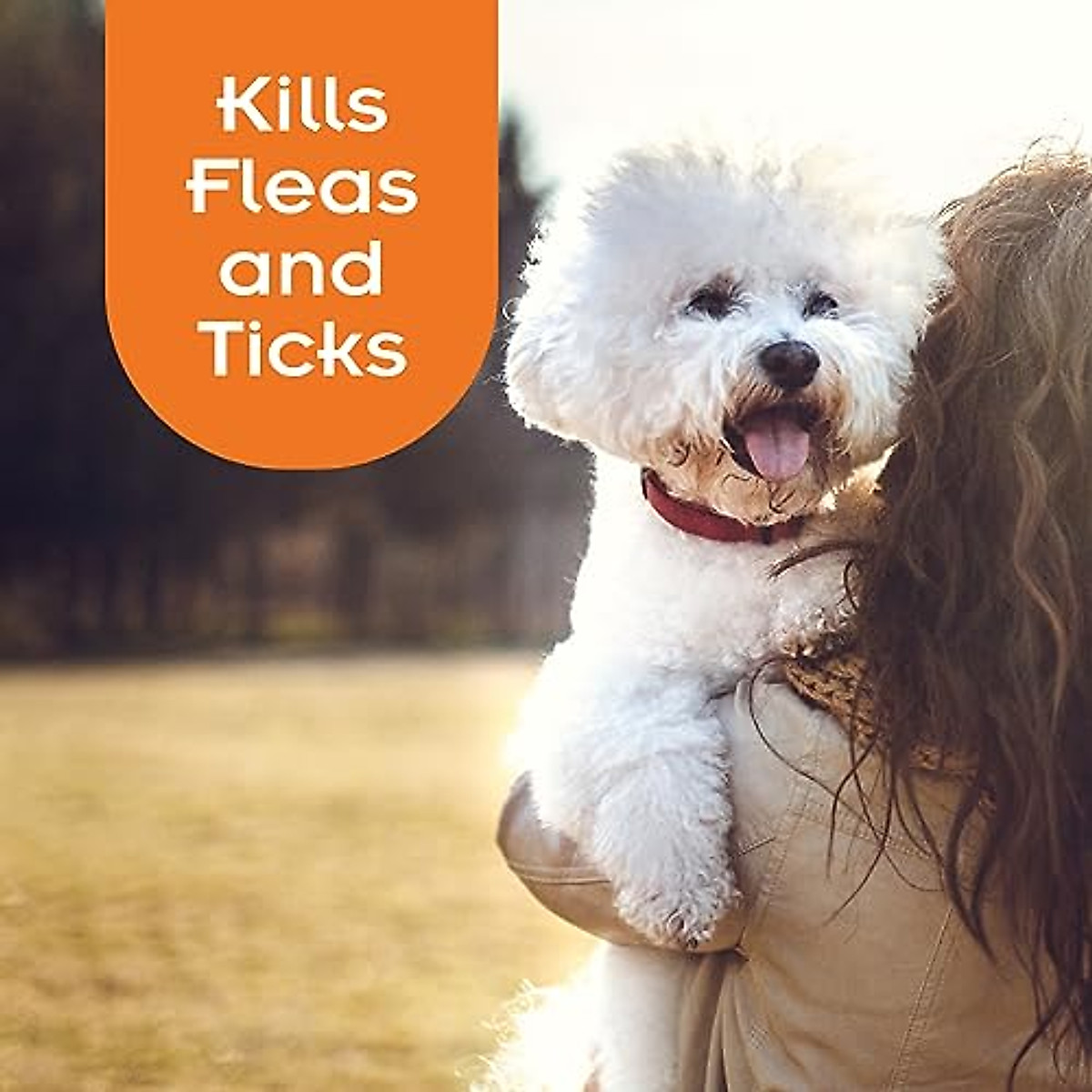 SENTRY Flea and Tick Shampoo for Dogs, Rid Your Dog of Fleas, and Ticks Tropical Breeze, 18 Fl Oz (Pack of 1)