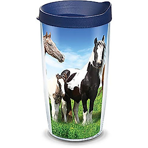 Tervis Horses Made in USA Double Walled Insulated Tumbler Travel Cup Keeps Drinks Cold & Hot, 16oz, Clear