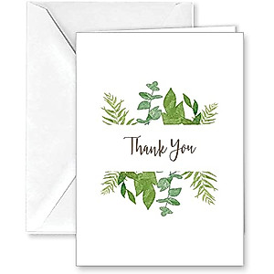 Paper Frenzy Elegant Ferns Thank You Note Cards and Envelopes - 25 pack