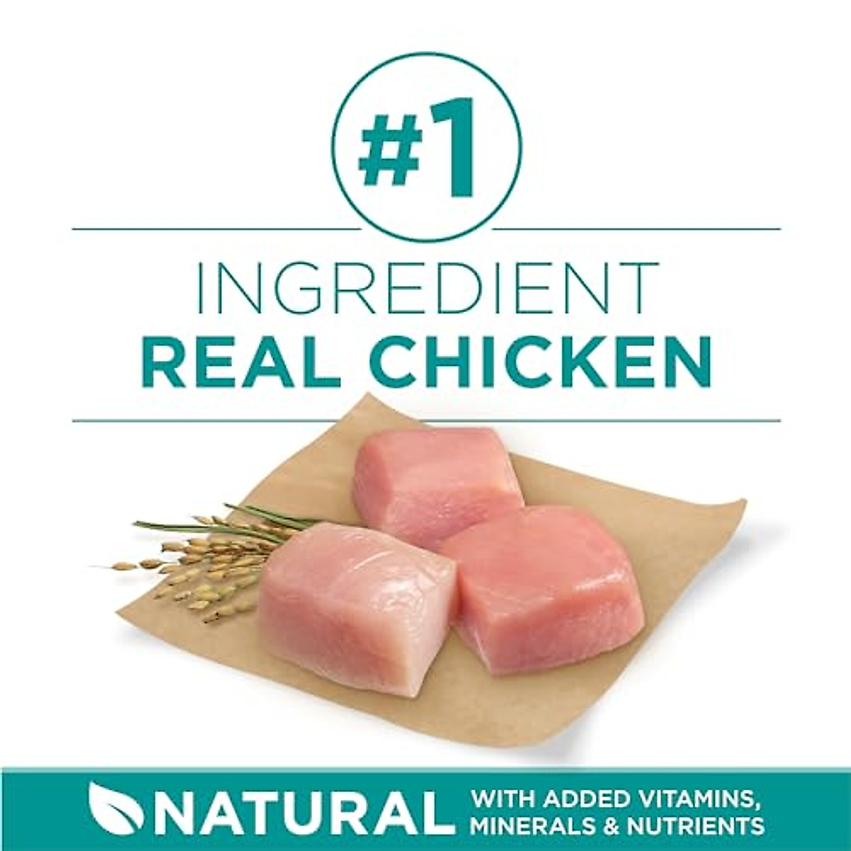 Purina One Plus Digestive Health Formula Dry Dog Food Natural with Added Vitamins, Minerals and Nutrients - (Pack of 4) 8 lb. Bags