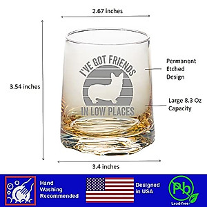 Mothers Gifts for Corgi Dog Mom, Corgi Whiskey Water Drinking Glass Tumbler, I've Got Friends in Low Places
