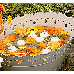 Floating Candles,Classic Unscented Tealight Shape Candles with 100PCS Silk Rose Petals,Mini Candle Discs for Weddings,Anniversaries,Birthdays,Home Decoration,Spa,Relaxation,10PACK (Ivory)