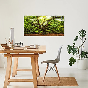Conipit Landscape Canvas Artwork Angel Oak Tree Picture Prints Sunshine Through Tree Canvas Green Oak Tree Painting South Carolina Tree Print Framed and Stretched Nature Canvas (W-40xH-20)