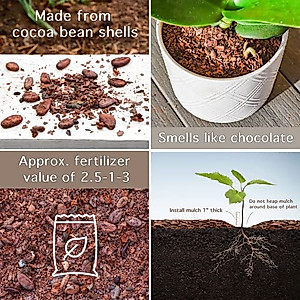 Organic Cocoa Bean Shell Mulch - Made from Cocoa Hulls - for Potted Plants, Flower beds, Gardens (8 Quarts)