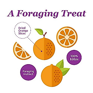 F.M. Brown's Tropical Carnival Natural Orange Slices Pet Bird Foraging Treat, 0.75-oz Bag - Sun-Ripened, USA Harvested, 100% Edible, Natural Vitamin C