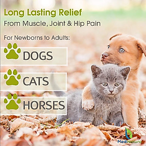 MediNatura T-Relief Pet Arthritis Pain Relief 90ct Tablets, T-Relief Pet Pain Relief 90ct Tablets and T-Relief Pet Calming with Chamomile 90ct Tablets Bundle