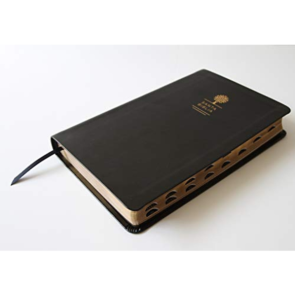 Biblia Reina Valera 1960 letra grande. Símil piel negro, índice, tamaño manual / Spanish Bible RVR 1960. Handy Size, Thumb Index, Large Print, Black Leat