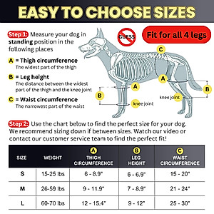 Mushie Ventures 4-in-1 Dog Knee Brace Bundle For Cruciate Ligament Injury, Luxating Patella, Torn ACL Knee with Adjustable Front Hind Leg Brace with Back Strap, Calm Collar, Therapeutic pad(SMALL DOG)