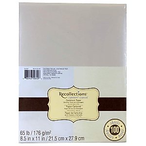 MICHAELS Shimmer Silver & Champagne 8.5”; x 11”; Cardstock Paper by Recollections®, 100 Sheets