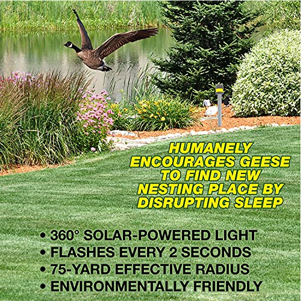 GLOWMAX, Bird Deterrent Device, Nighttime Solution to Repel Geese and Ducks from Lawns, Flashing Night Light Disrupts Sleeping to Discourage Nesting, Set of 1