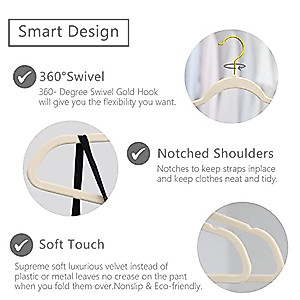 MIZGI Premium Velvet Hangers Pack 50 Pcs Heavy Duty - Non Slip Slimline - Velvet Suit Hangers Ivory - Gold Hooks,Space Saving Clothes Hangers …