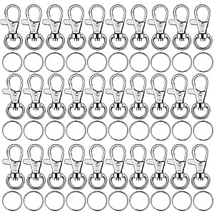Key Chain Swivel Hooks, Anezus 100pcs Keychain Hardware Metal Swivel Snap Hook Lanyard Clips Hooks with Keychain Rings for Keychain Hardware and Lanyard Charms