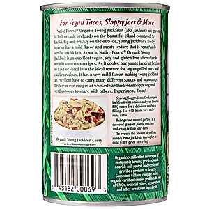 Native Forest Organic Young Jackfruit, 14 oz