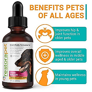 RestoraPet 1-Pack Dog & Cat Bacon Liquid Multivitamin | Dog Arthritis Pain Relief | Hip & Joint Vitamins for Dogs - Anti Inflammatory Supplement for Dogs & Cats | Organic & Non-GMO, Vet Approved