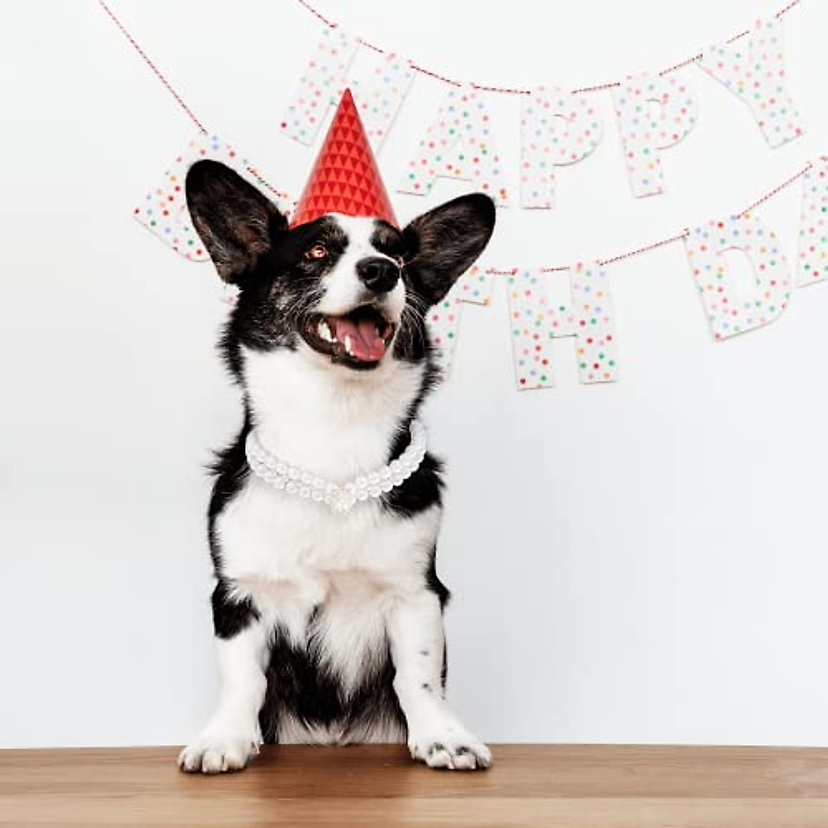 KUDES Adjustable Dog Pearl Collars with Extension Chain for Small Dogs and Cats, Cute Yorkie Girl Clothes Costume Outfits Accessories Rhinestone Diamond Décor for Puppy Kitten Wedding Party