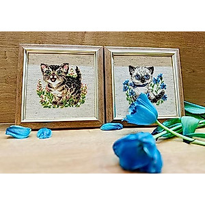 RIOLIS Counted Cross Stitch kit 2119 Bengal Kitten